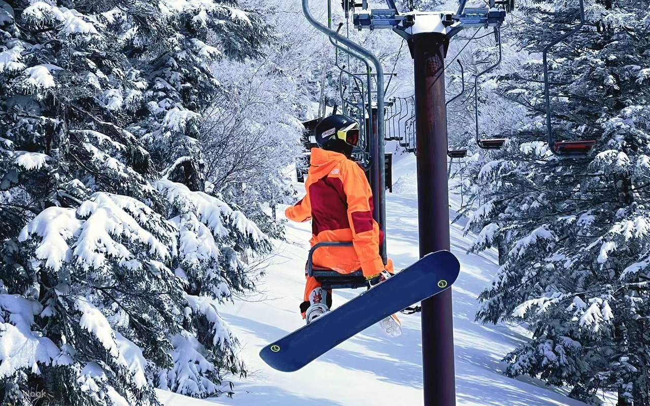 [Winter Skiing Only] Nagano Snow Monkey Park + Shiga Kogen 2-Day Skiing ...